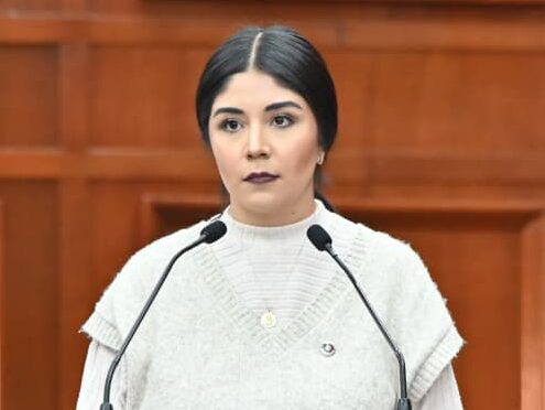 La diputada Emma Álvarez y el diputado Pablo Fernández proponen que el ...