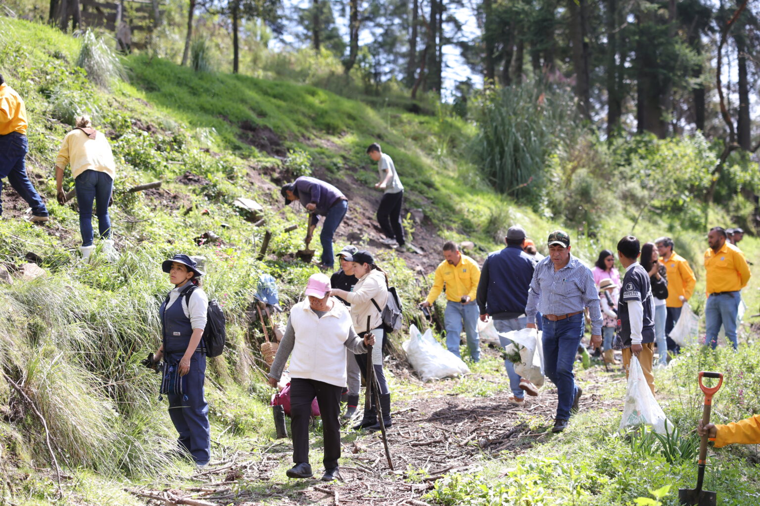 Huixquilucan supera la meta de reforestar 20 mil árboles para 2025 ...